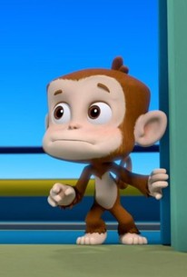 PAW Patrol: Season 4, Episode 20 - Rotten Tomatoes