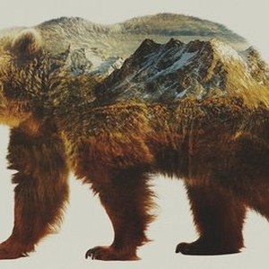 Jumbo Wild - Rotten Tomatoes