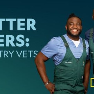 Critter Fixers: Country Vets - Rotten Tomatoes