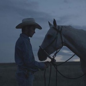 Brady Jandreau - Rotten Tomatoes