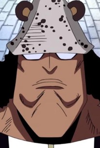 One Piece: Season 10, Episode 40 | Rotten Tomatoes