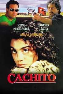 Cachito | Rotten Tomatoes