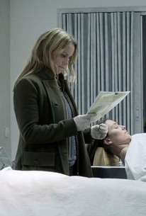 The Bridge: Season 2, Episode 2 - Rotten Tomatoes