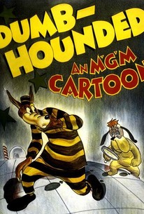Dumb-Hounded | Rotten Tomatoes