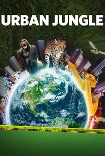Urban Jungle | Rotten Tomatoes