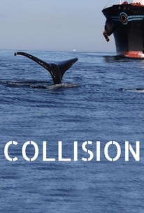Collision | Rotten Tomatoes