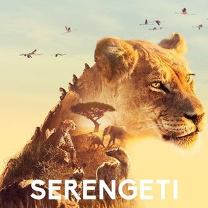 Serengeti - Rotten Tomatoes
