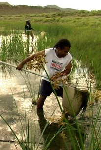 National Geographic's Strange Days on Planet Earth: Season 1, Episode 4 ...