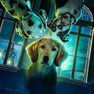 Phantom Pups - Rotten Tomatoes