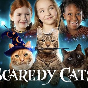 Scaredy Cats - Rotten Tomatoes