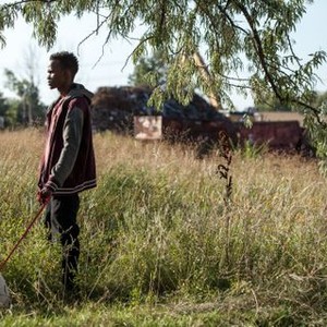 A Stray - Rotten Tomatoes