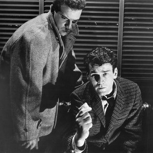 Don Murray - Rotten Tomatoes