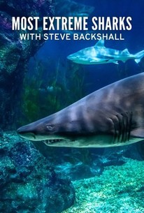 Most Extreme Sharks With Steve Backshall - Rotten Tomatoes