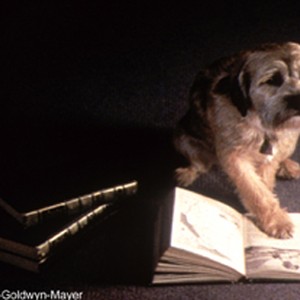 Good Boy! (2003) - Rotten Tomatoes