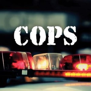 Cops: Season 29, Episode 18 - Rotten Tomatoes