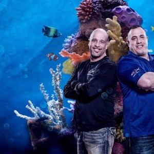 Tanked: Season 14, Episode 3 - Rotten Tomatoes