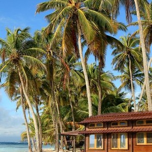 Tiny Paradise - Rotten Tomatoes