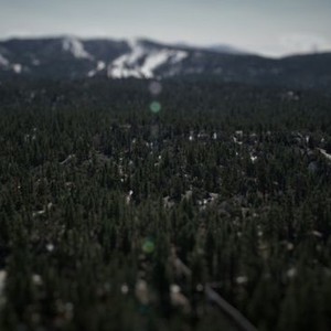 Old Strangers - Rotten Tomatoes