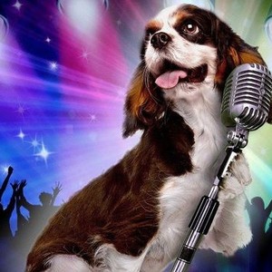 Pop Star Puppy - Rotten Tomatoes