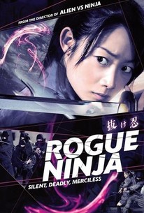Rogue Ninja | Rotten Tomatoes