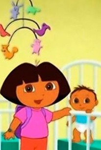 Dora the Explorer: Season 5, Episode 17 | Rotten Tomatoes