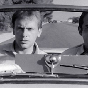 The Easy Life - Rotten Tomatoes