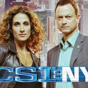 CSI: New York: Season 2, Episode 20 - Rotten Tomatoes