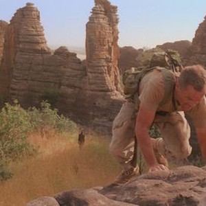 Rob Freeman - Rotten Tomatoes