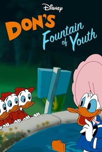 Don's Fountain of Youth | Rotten Tomatoes