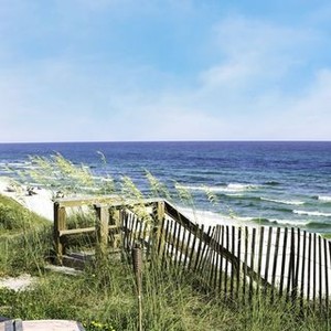 Beach Hunters - Rotten Tomatoes