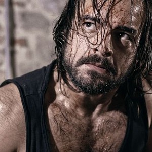 Born Dead - Rotten Tomatoes