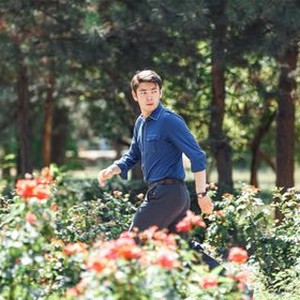 Three - Rotten Tomatoes