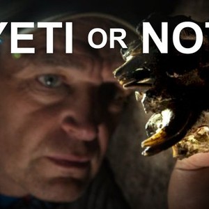 Yeti or Not - Rotten Tomatoes