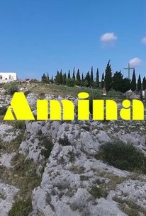 Amina | Rotten Tomatoes