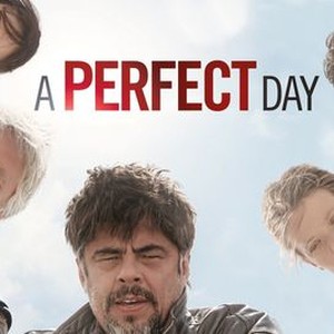 A Perfect Day - Rotten Tomatoes