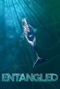 Entangled (2020) | Rotten Tomatoes