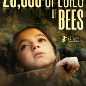 20,000 Species of Bees - Rotten Tomatoes