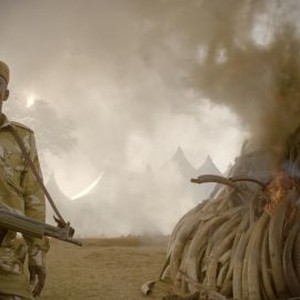 The Ivory Game - Rotten Tomatoes