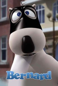 Bernard, The Polar Bear: Season 3 | Rotten Tomatoes