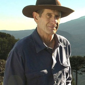 In the Americas With David Yetman - Rotten Tomatoes