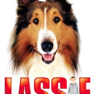 Lassie - Rotten Tomatoes