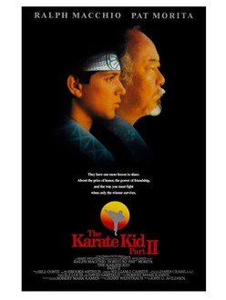Karate kid 2 store