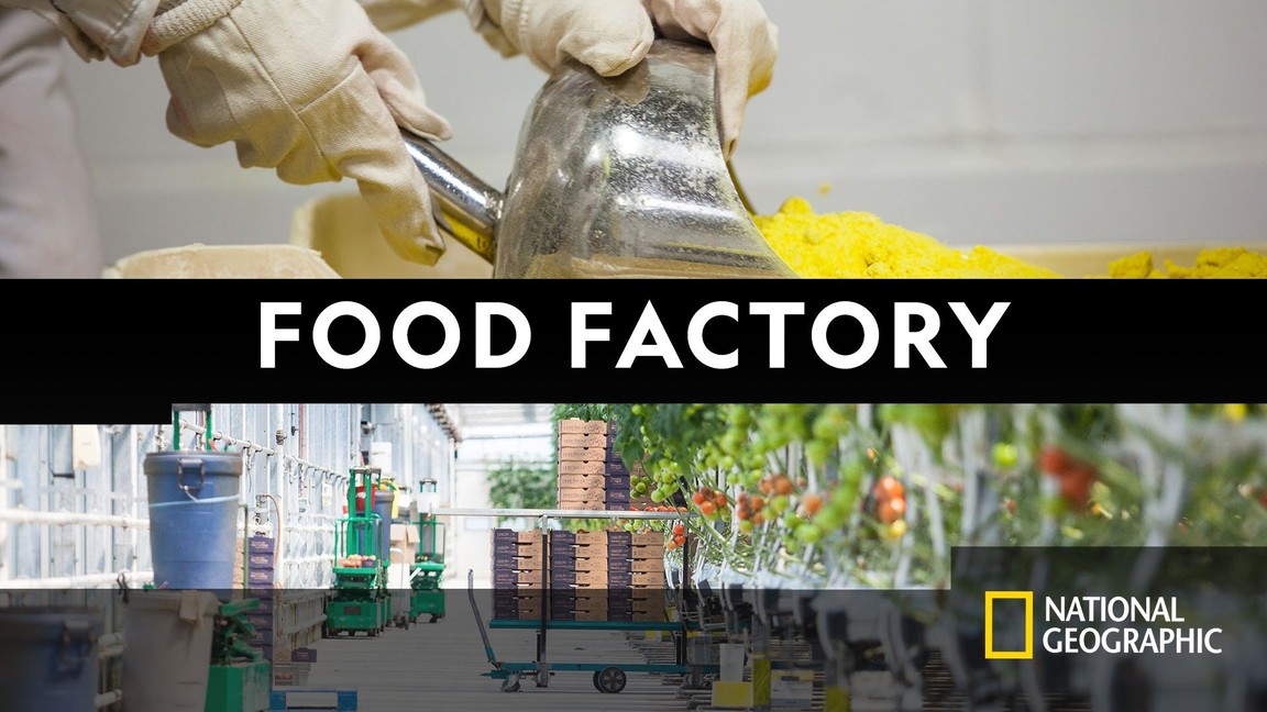 Food Factory Tv Show