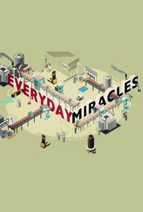 Everyday Miracles (2015) | Rotten Tomatoes