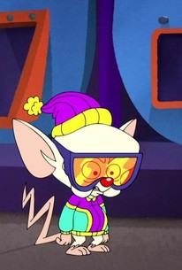 Animaniacs: Season 3, Episode 5 | Rotten Tomatoes