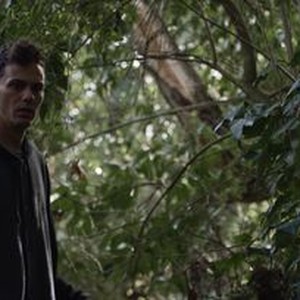 Donovan Reid - Rotten Tomatoes