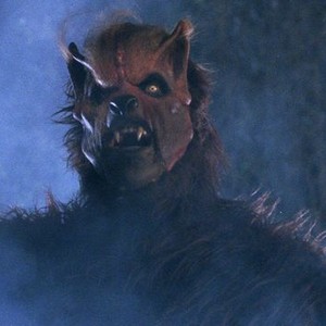 Hard Rock Nightmare - Rotten Tomatoes