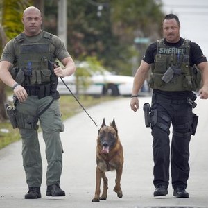 Unleashed: K9 Broward County: Season 1, Episode 1 - Rotten Tomatoes
