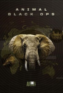 Animal Black Ops | Rotten Tomatoes