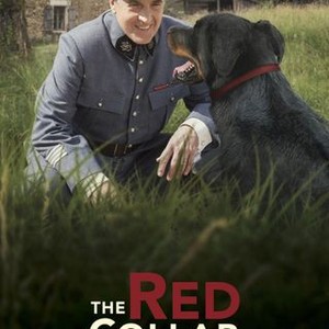 The Red Collar - Rotten Tomatoes